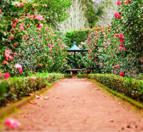 Drip Irrigation Systems in Goa | Waste Management & Disposal